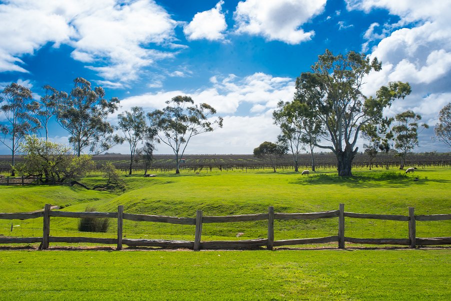 The Kitchen Door – ADELAIDE FOOD CENTRAL